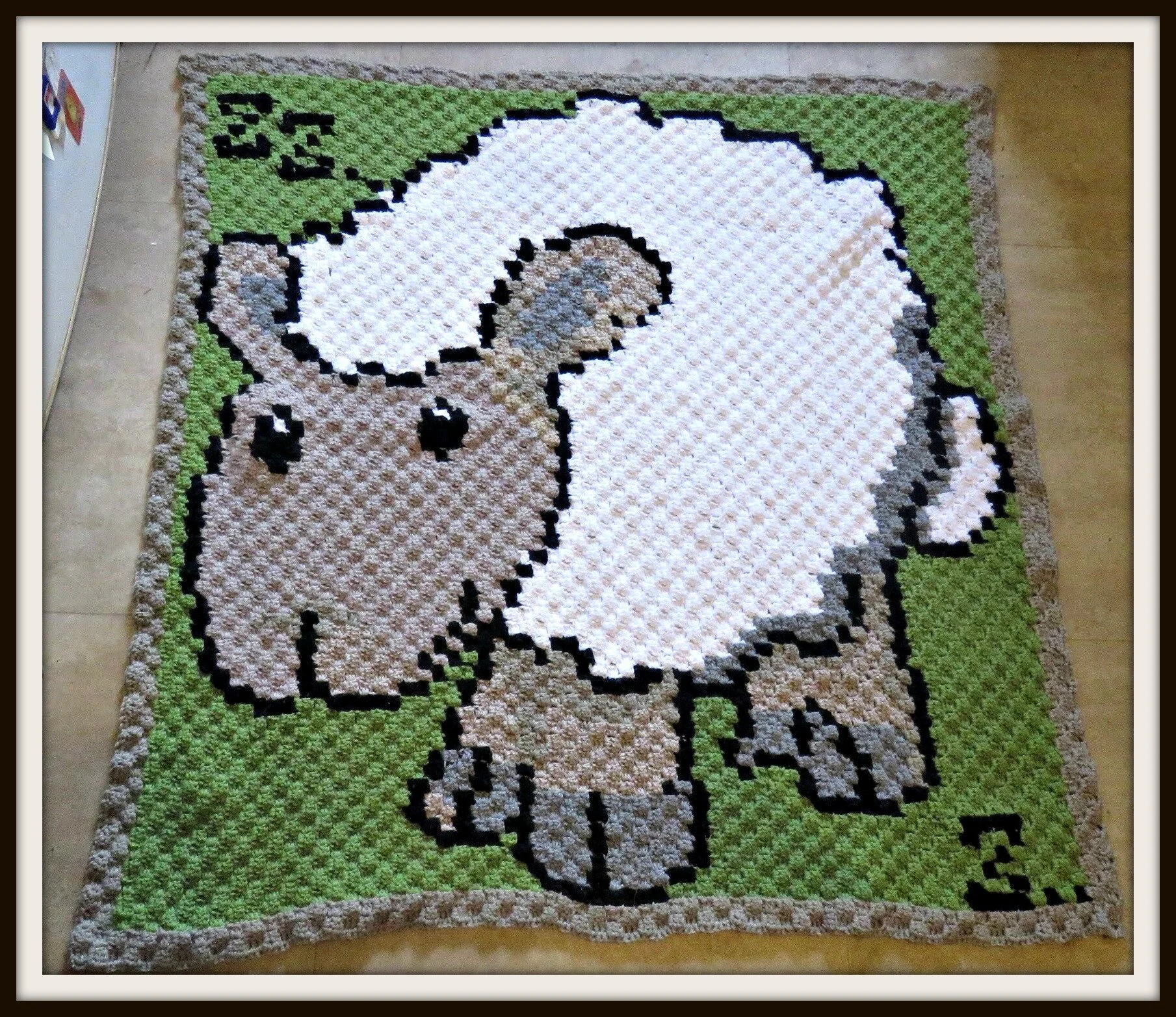 The Crochet Couch - Baby Afghans C2C