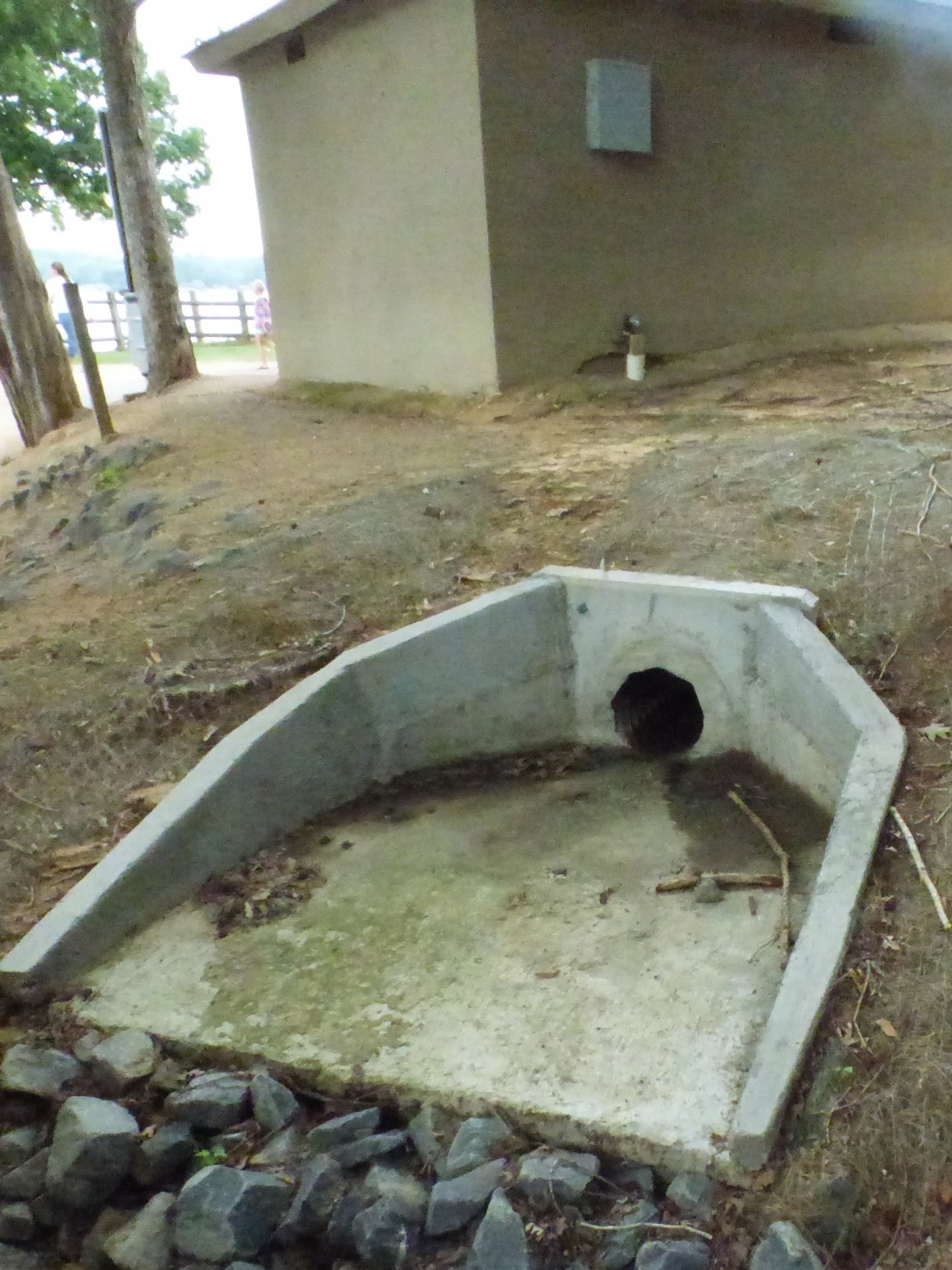 Wolf Trail Engineering