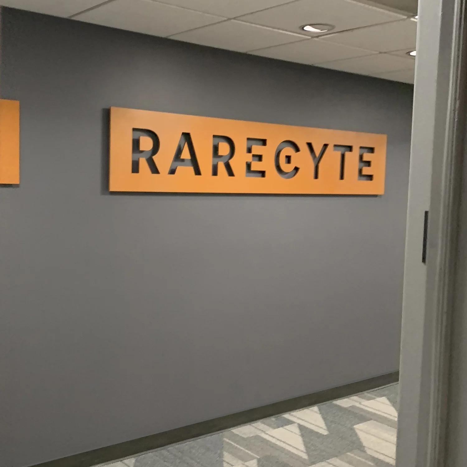 RareCyte — Anvil Studios