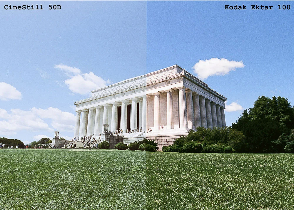 35mm Film Comparison CineStill 50D Vs Kodak Ektar 100 Focal Collective