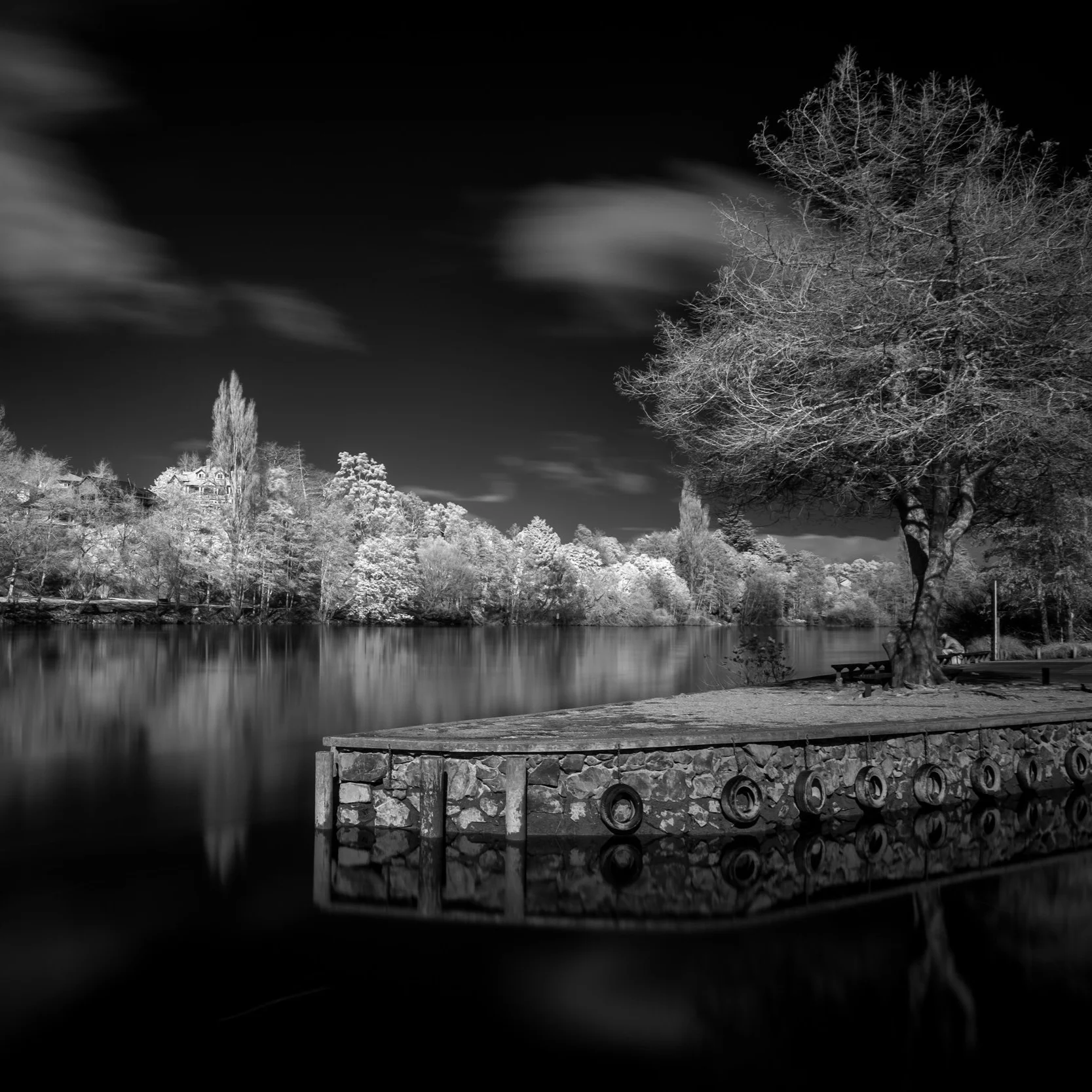 Black And White Infrared Film Photography
