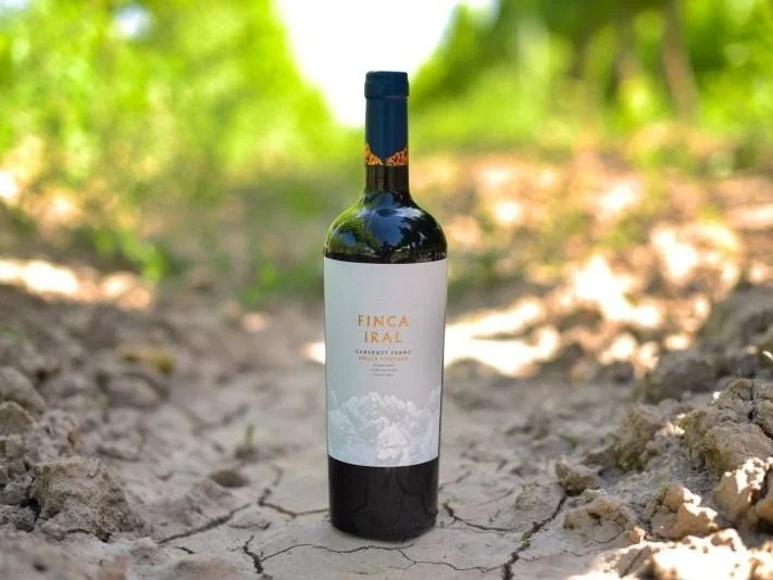 Finca Iral, el sueño de tres amigos hecho realidad — Vinos y Negocios ...