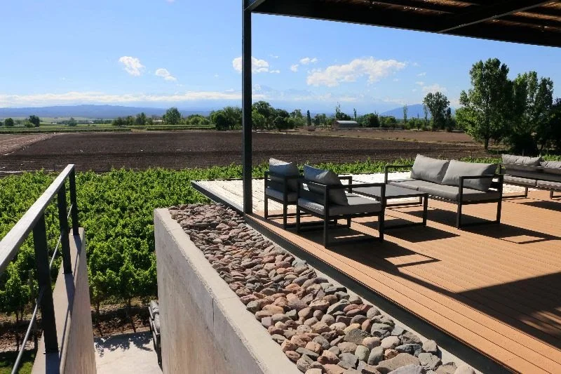 Finca Iral, el sueño de tres amigos hecho realidad — Vinos y Negocios ...