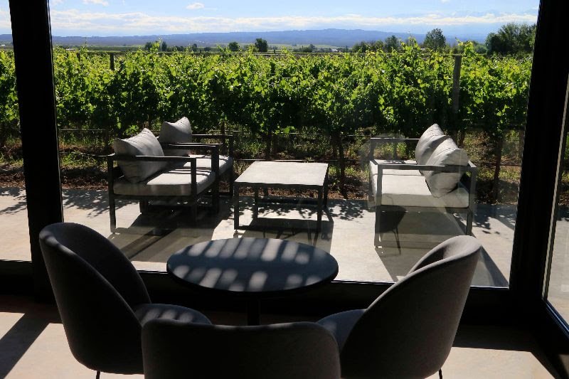 Finca Iral, el sueño de tres amigos hecho realidad — Vinos y Negocios ...