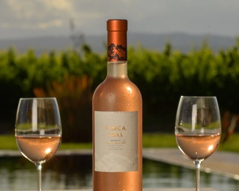 Finca Iral, el sueño de tres amigos hecho realidad — Vinos y Negocios ...