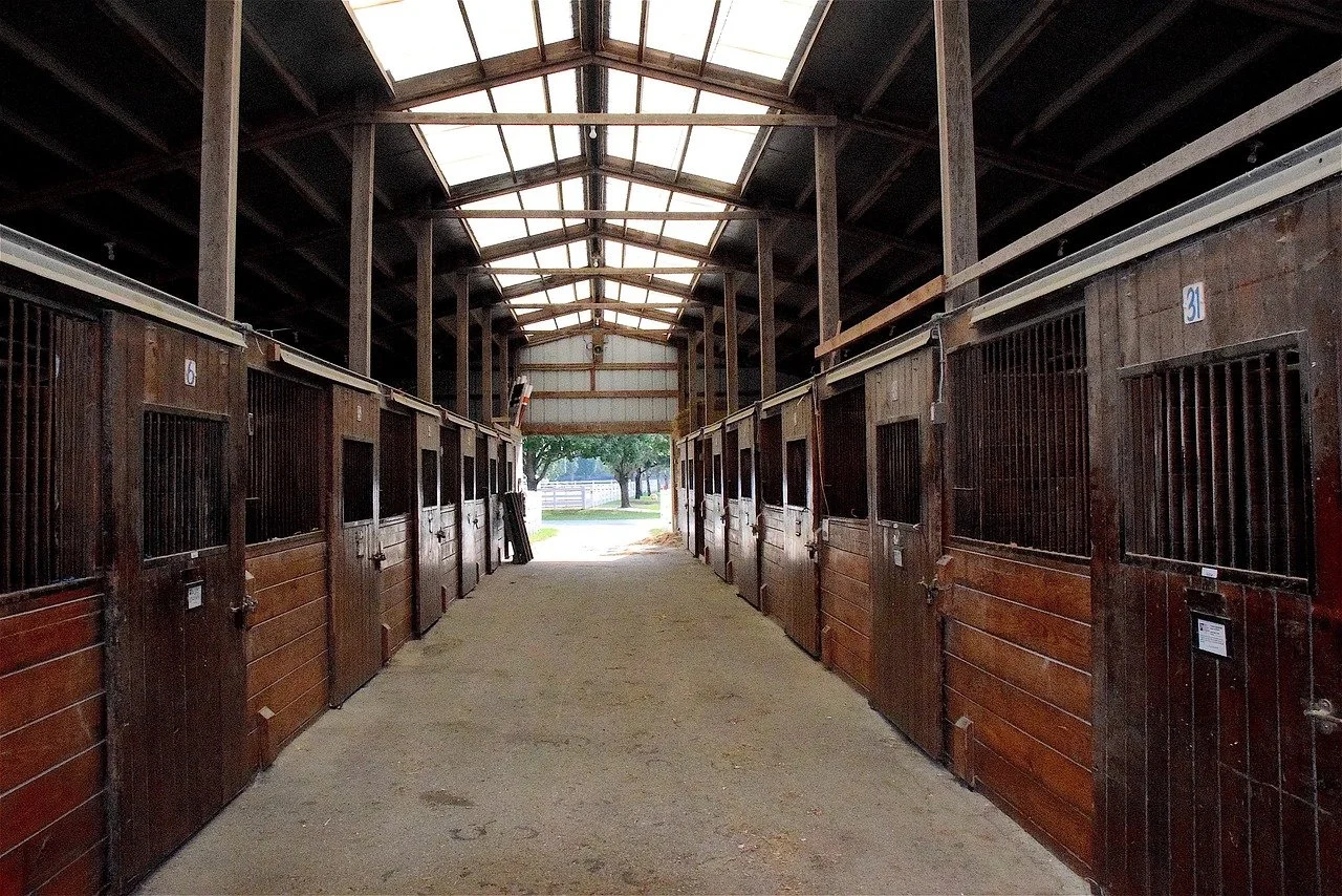 Snohomish County: Your Guide to Equestrian and Farmland Opportunities ...