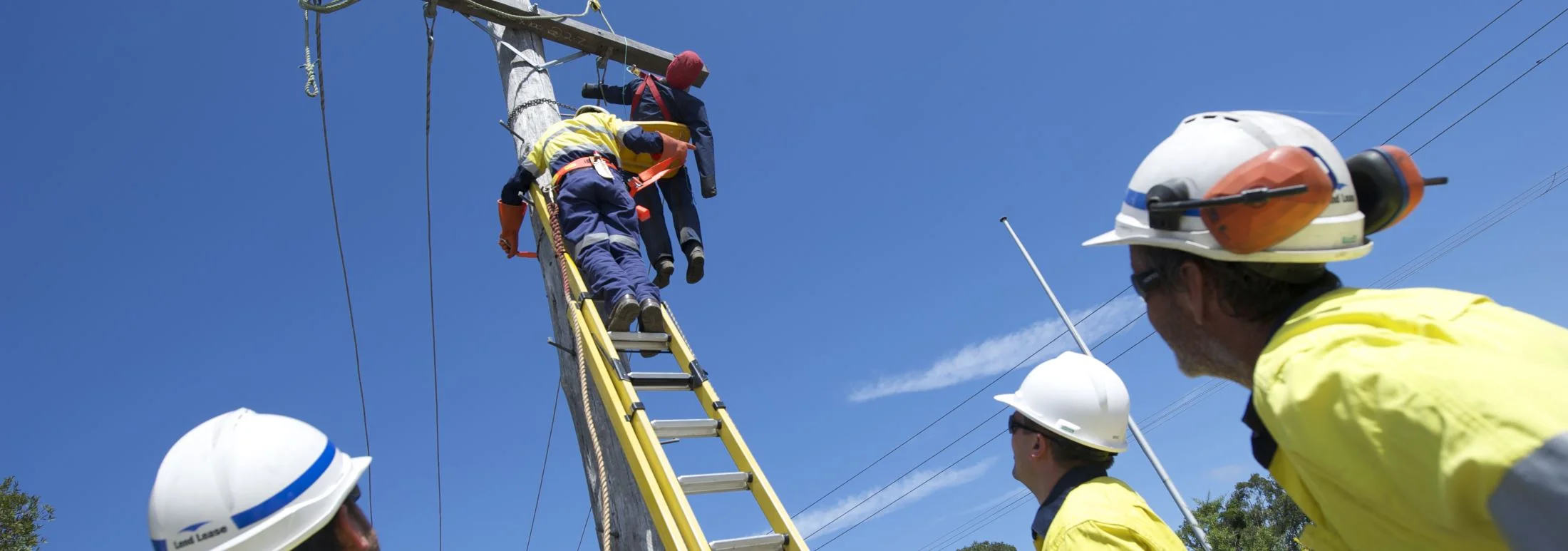 VESI Training: annual and three year competencies in Victoria — EnerSafe