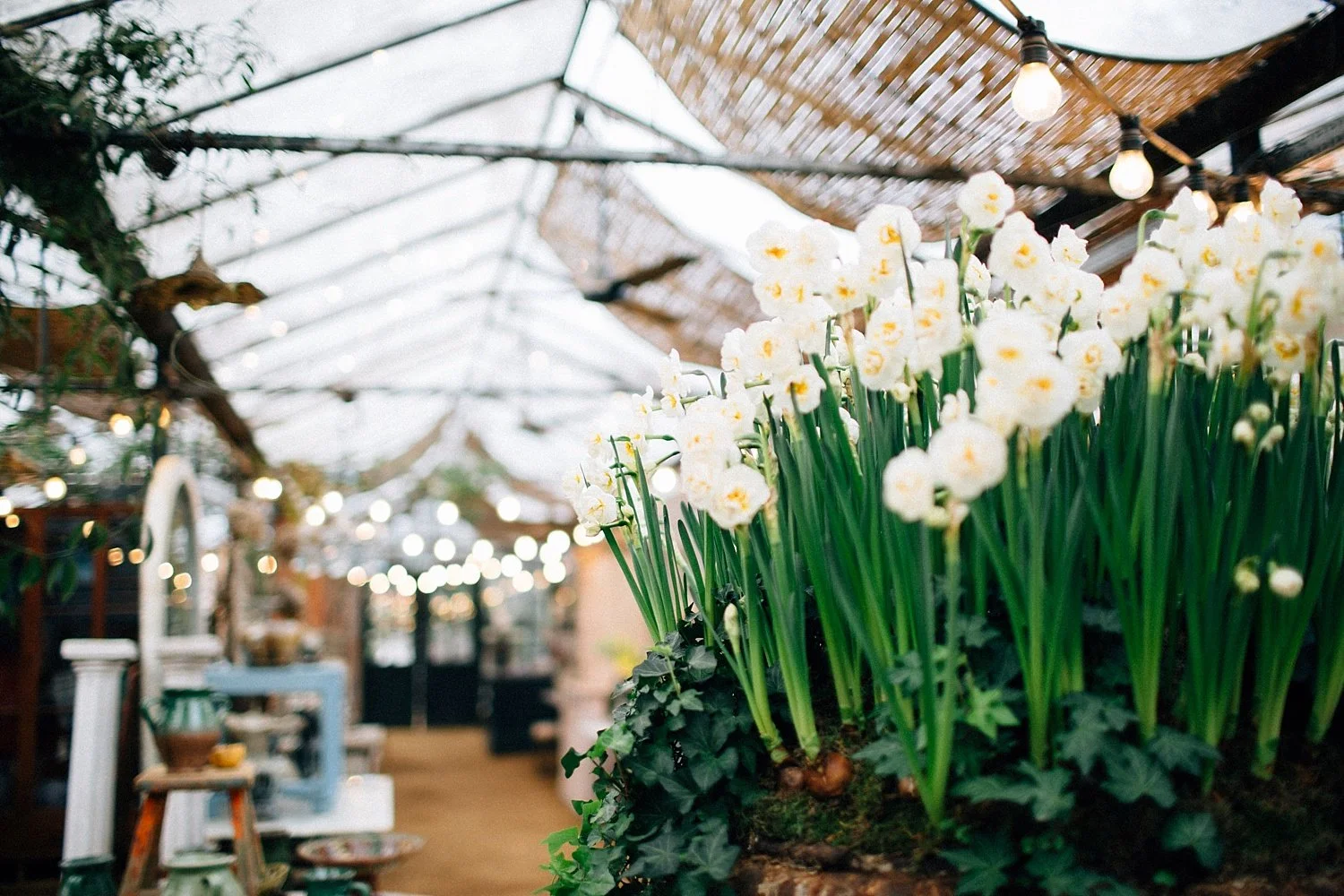 Petersham Nurseries in Richmond wedding photographer | Paola De Paola ...