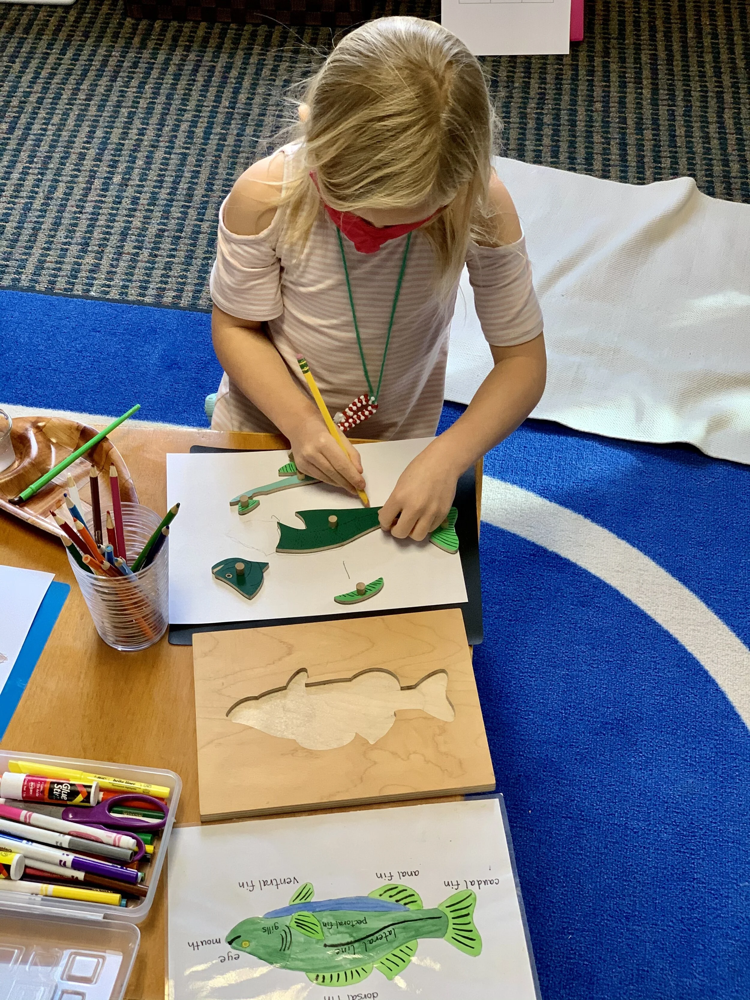 Primary Program (3-6 Years) — Brixham Montessori Friends School