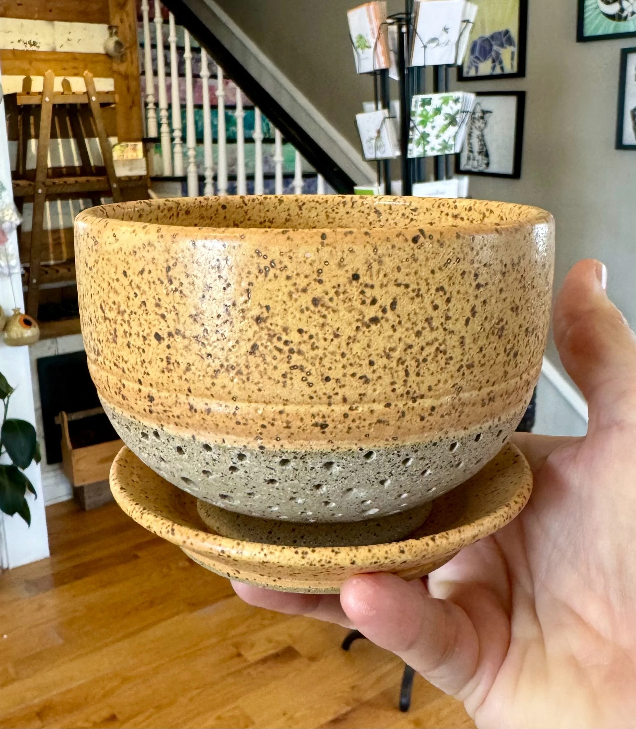 Pottery Shop — Mud Queen Pottery