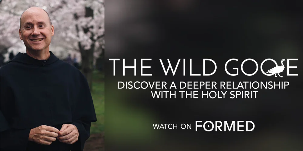 The Wild Goose — Holy Cross Church