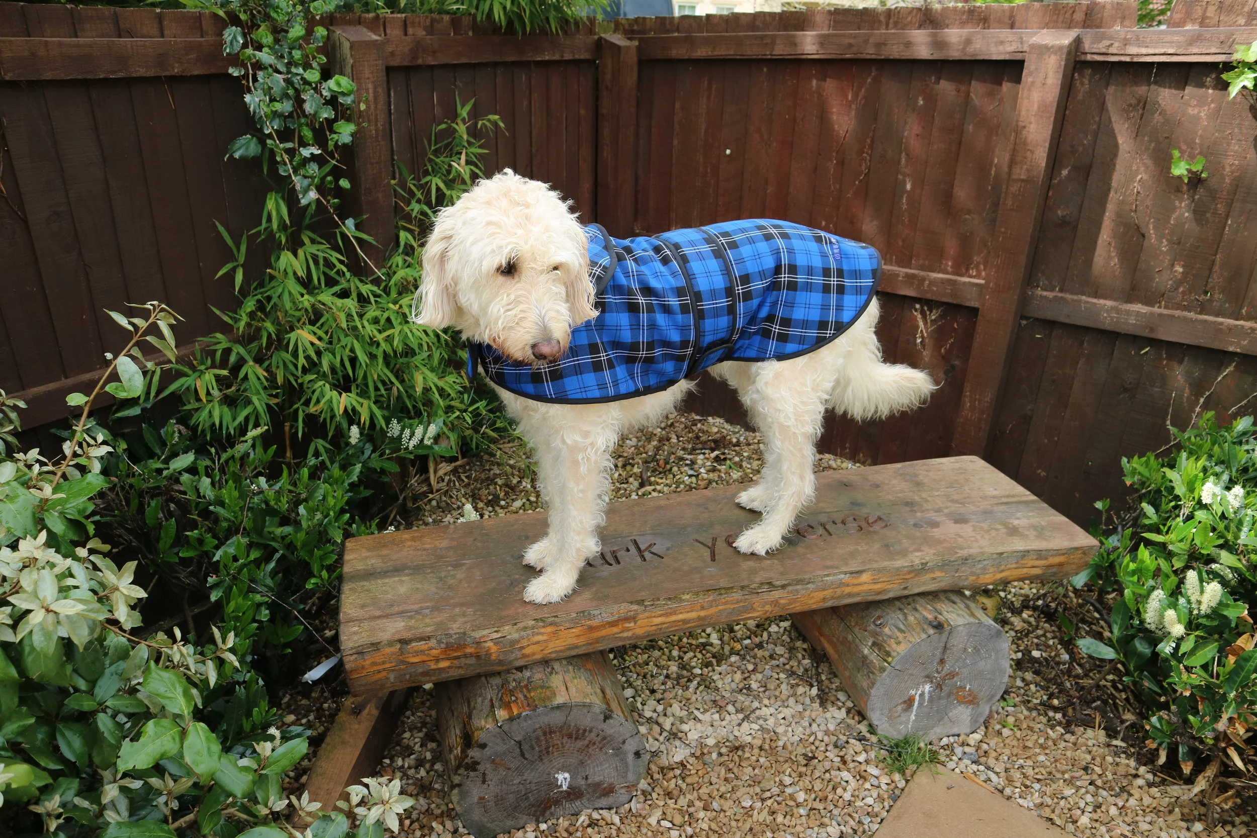 Mucki Mutz® Dog Wear — Shop Mucki Mutz Dog Coats Here