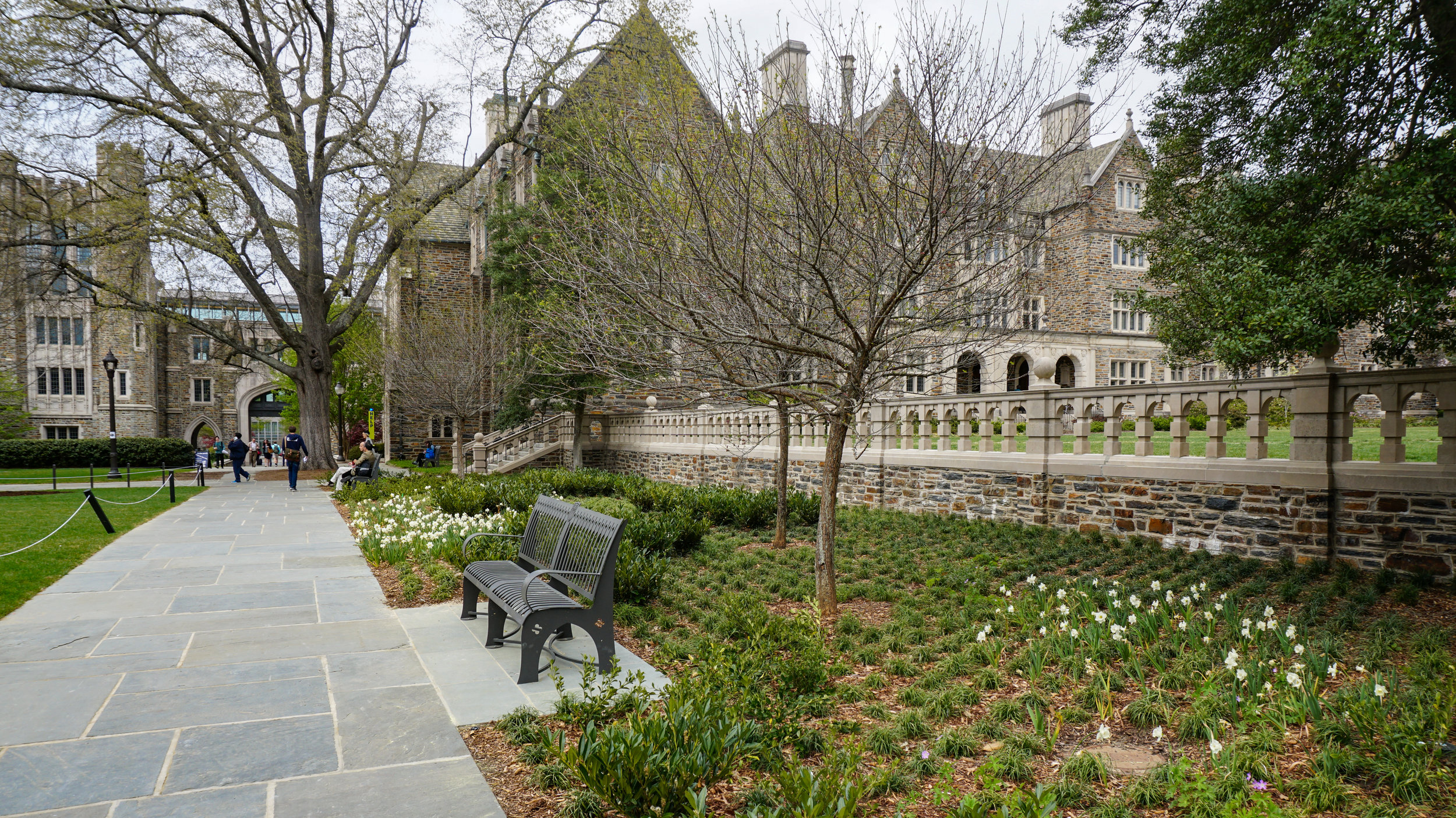 Abel West Quad — JBC Landscape Architects