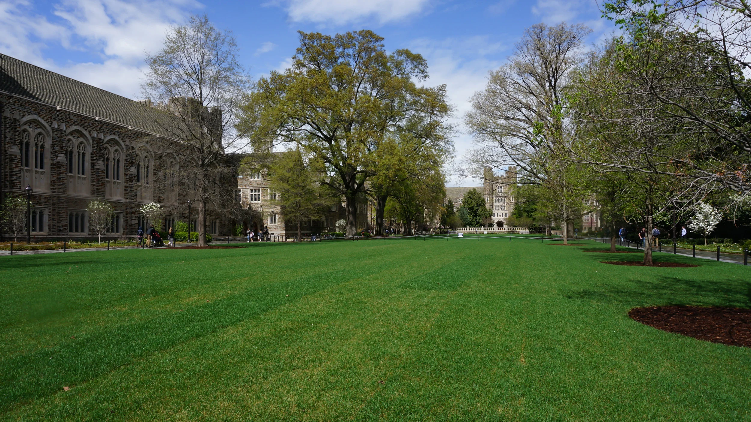 Abel West Quad — JBC Landscape Architects