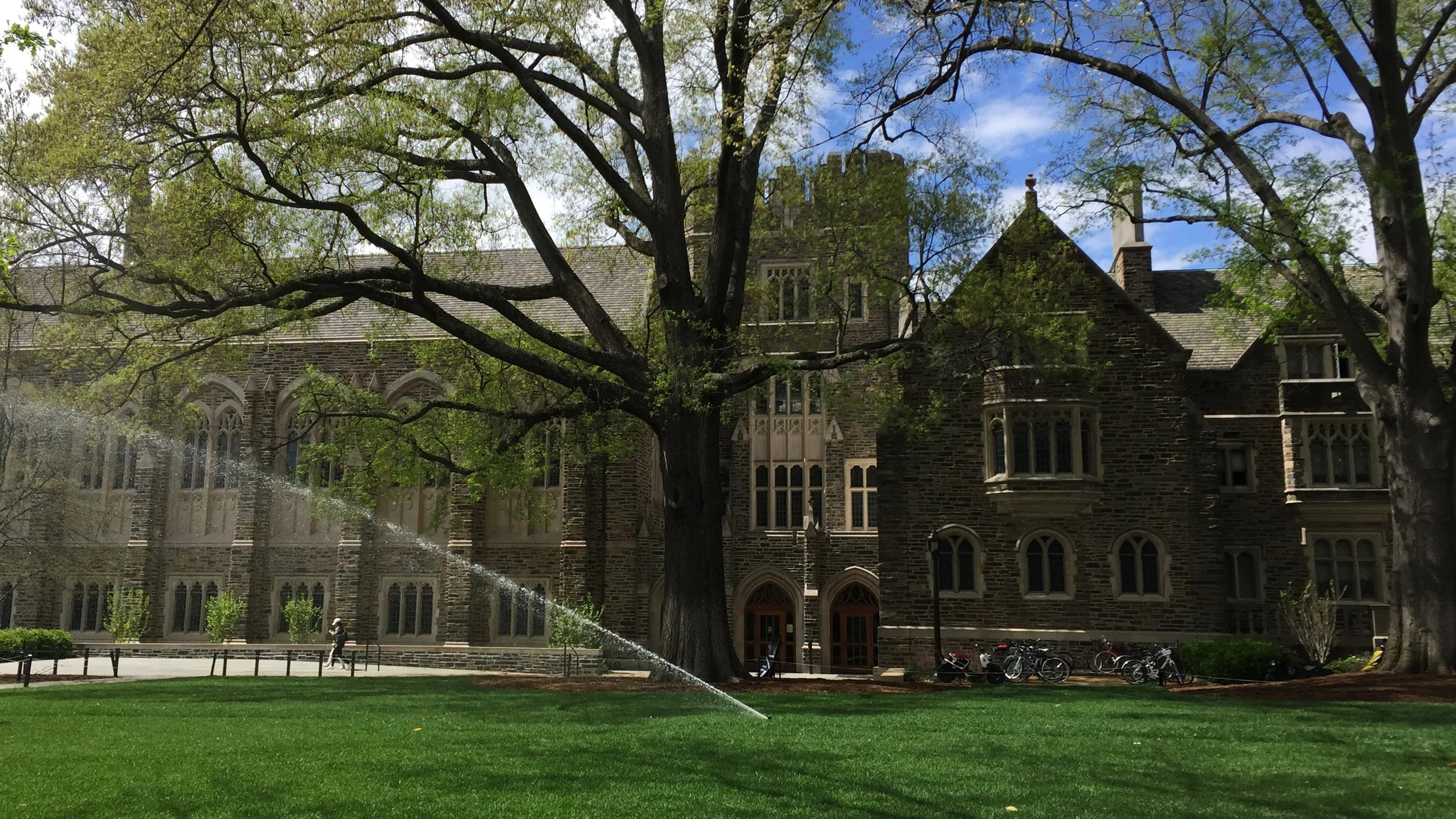 Abel West Quad — JBC Landscape Architects