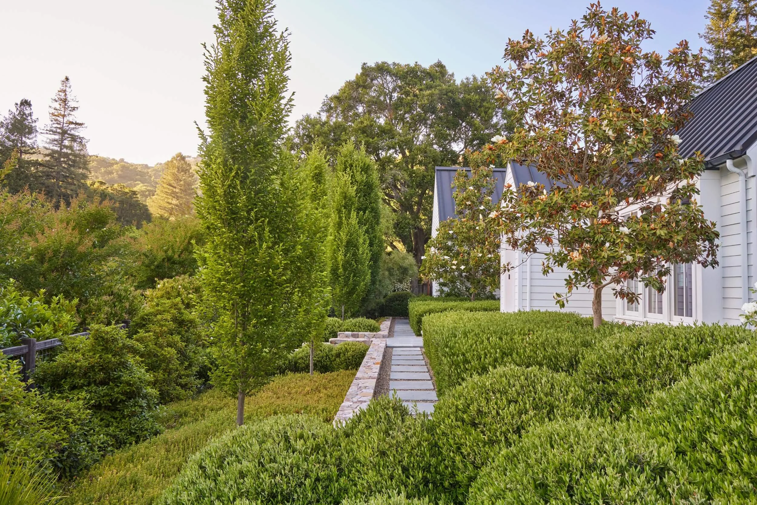 Daniel Nolan Design — Lafayette