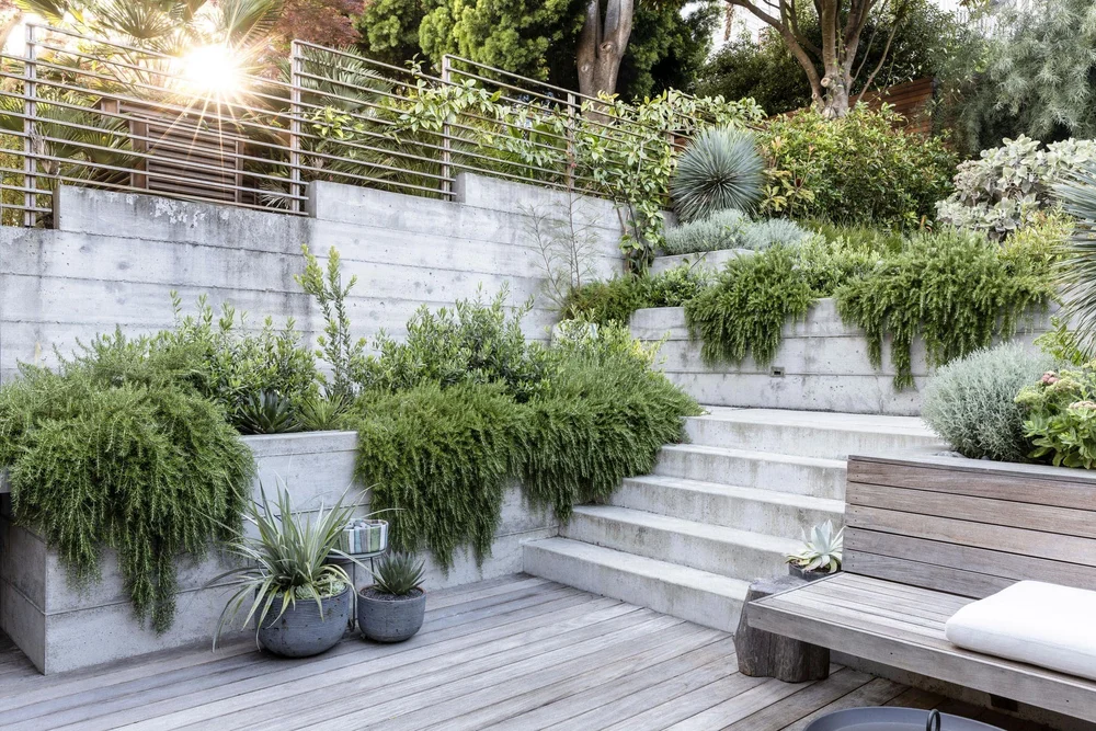 Daniel Nolan Design — Noe Valley