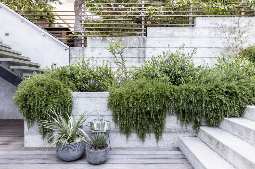 Daniel Nolan Design — Noe Valley