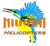 FLEET — Niugini Helicopters