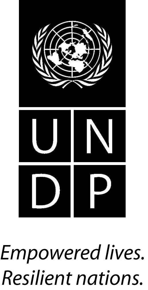 UN Innovation Network