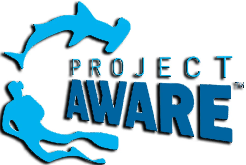 Project Aware — Sheesa Beach Dhow - Dive & Discover