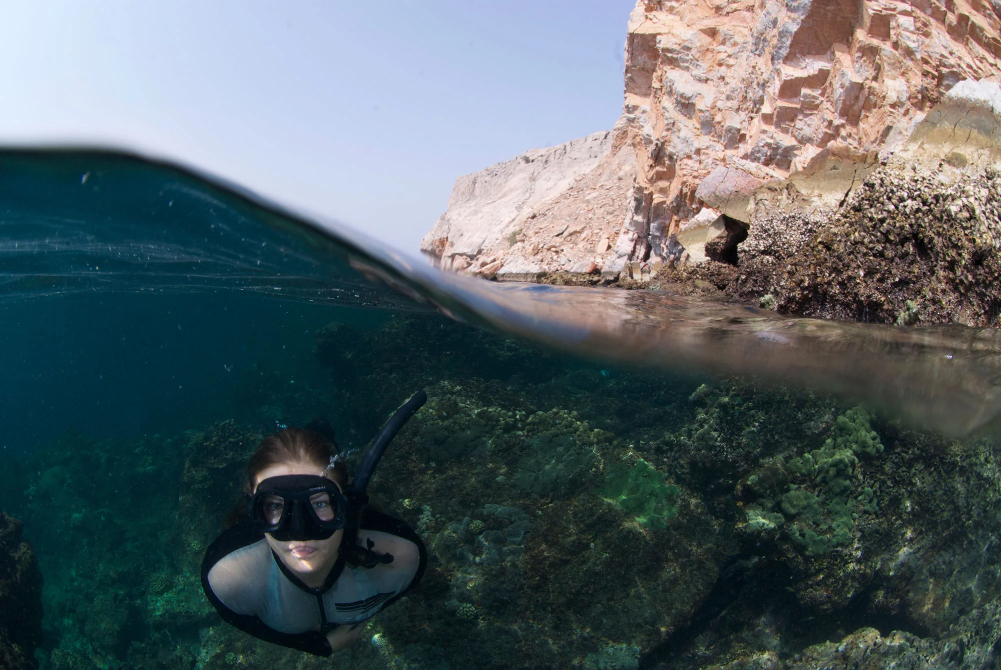 freediving & snorkeling — Sheesa Beach Dhow - Dive & Discover