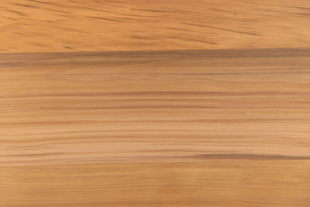 A complete guide to Sassafras — Hydrowood | timber (re)discovered