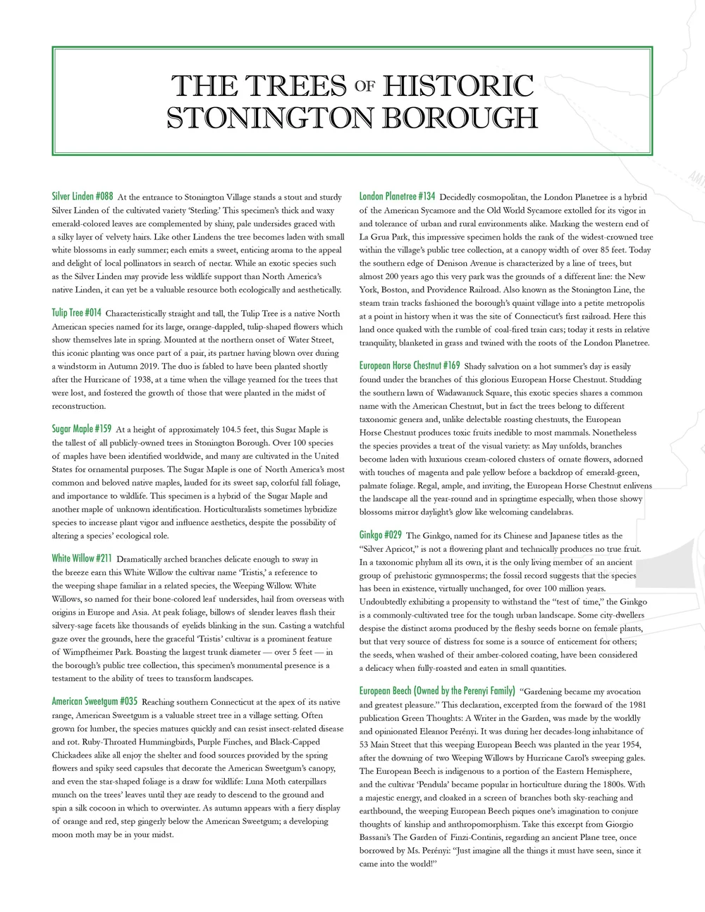 Treesure Hunt — Stonington Borough, CT | Things To Do | Where to Eat ...