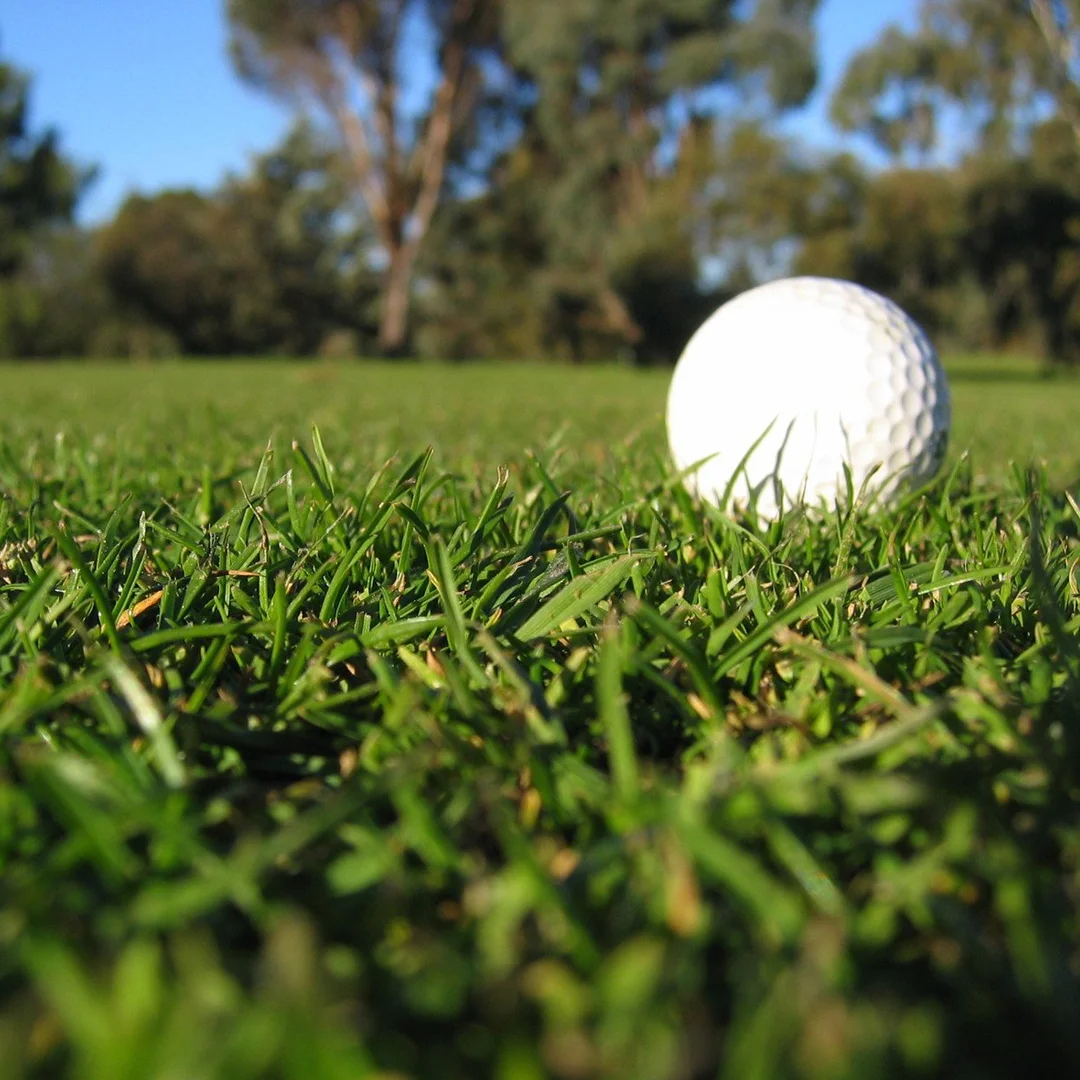Sports & Recreation — Stonington Borough, CT | Things To Do | Where to ...