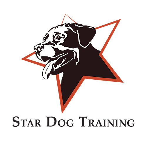 Star Dog Training