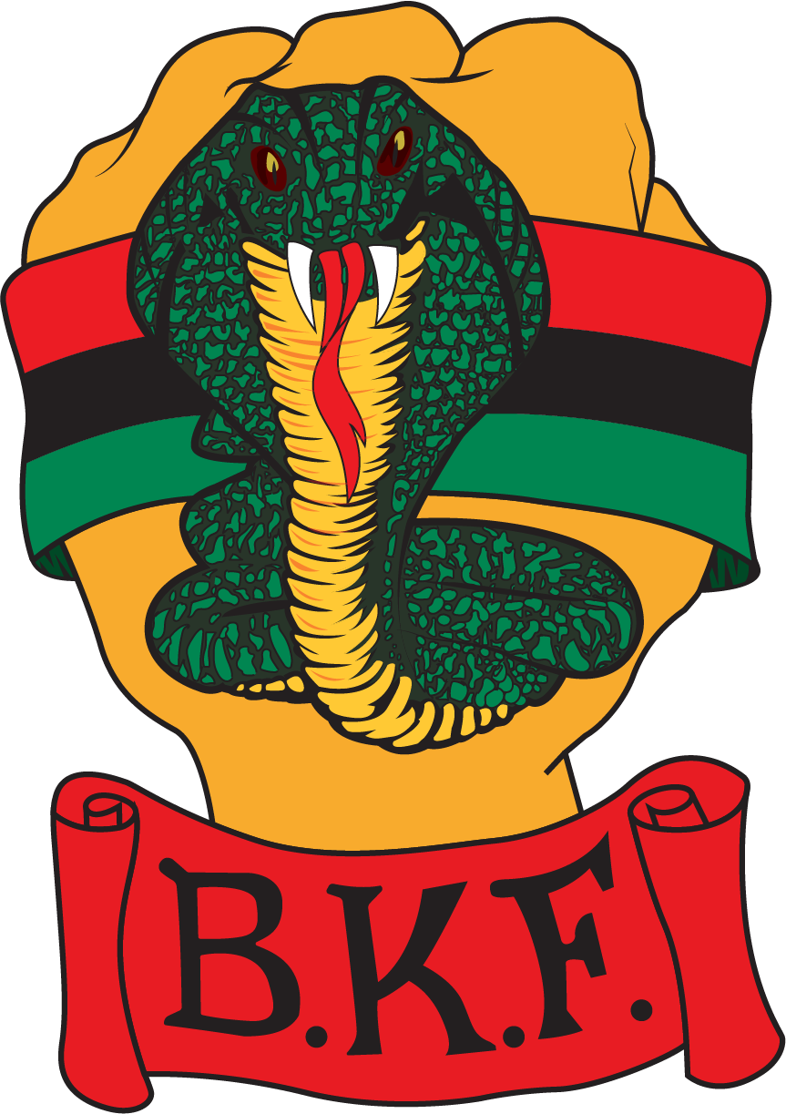 ABOUT — OUR FISTS ARE BLACK