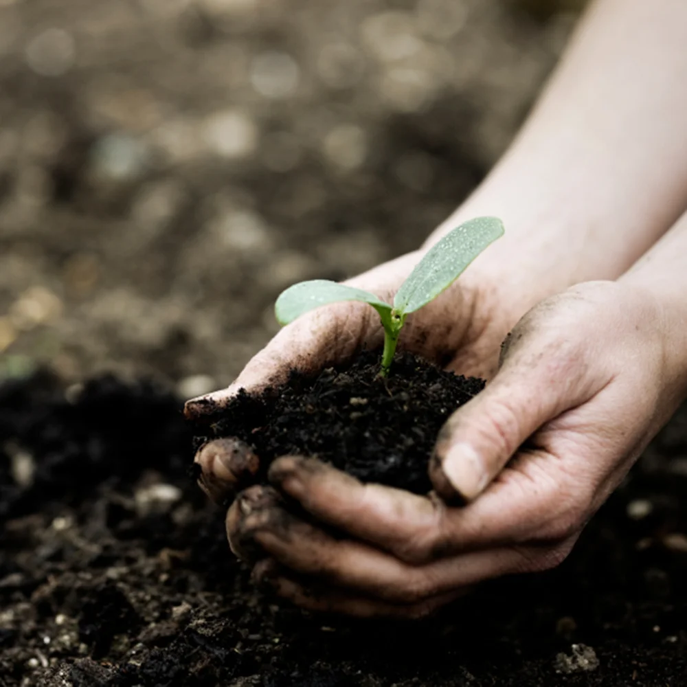 Conservation Incentives — Milford Watershed