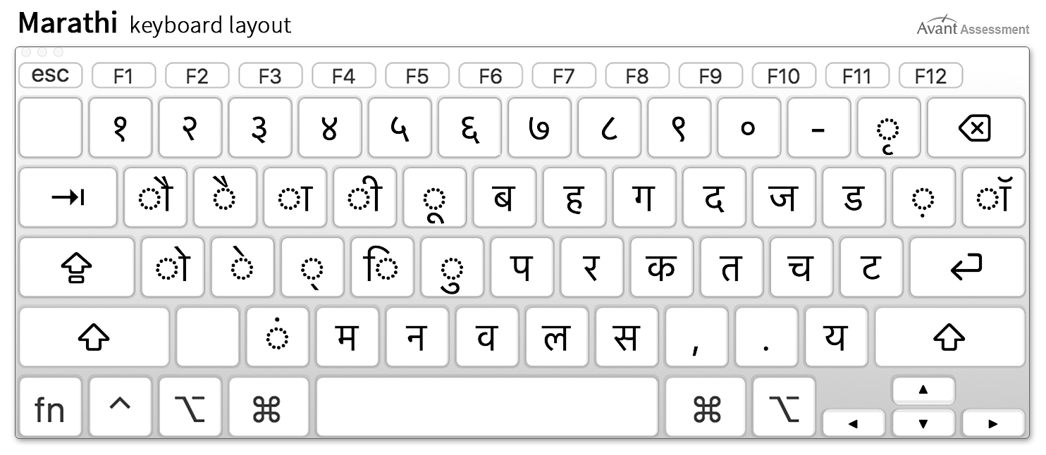 Writing Input Guide - Mac | Avant Assessment