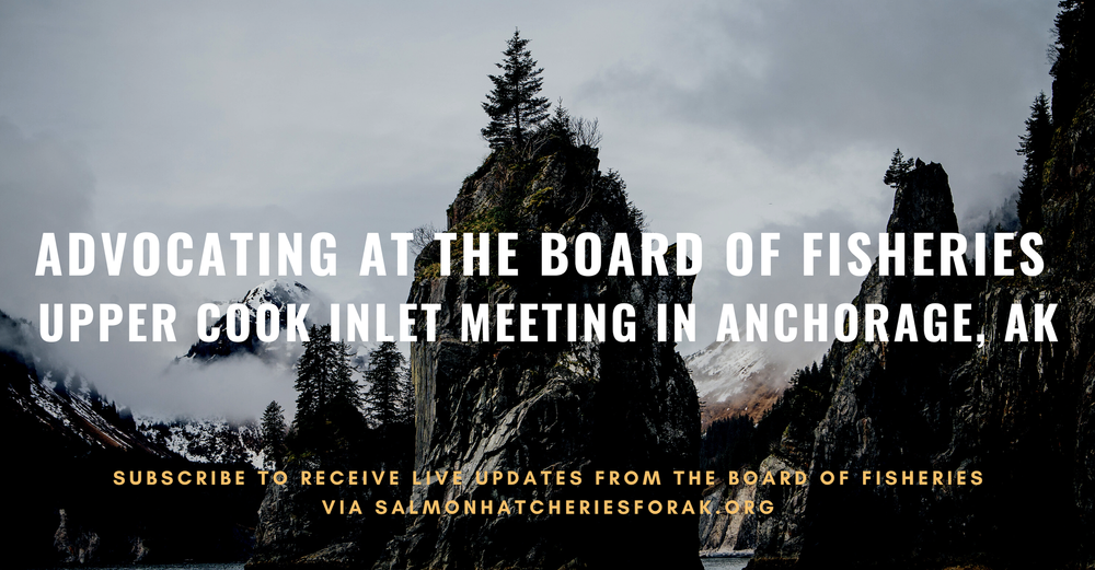 Upper Cook Inlet Board of Fish Meeting 2024 — Salmon Hatcheries for Alaska