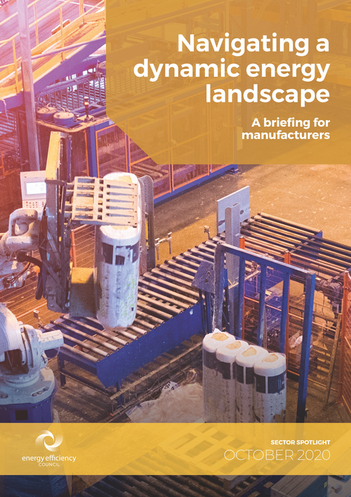 Navigating a dynamic energy landscape