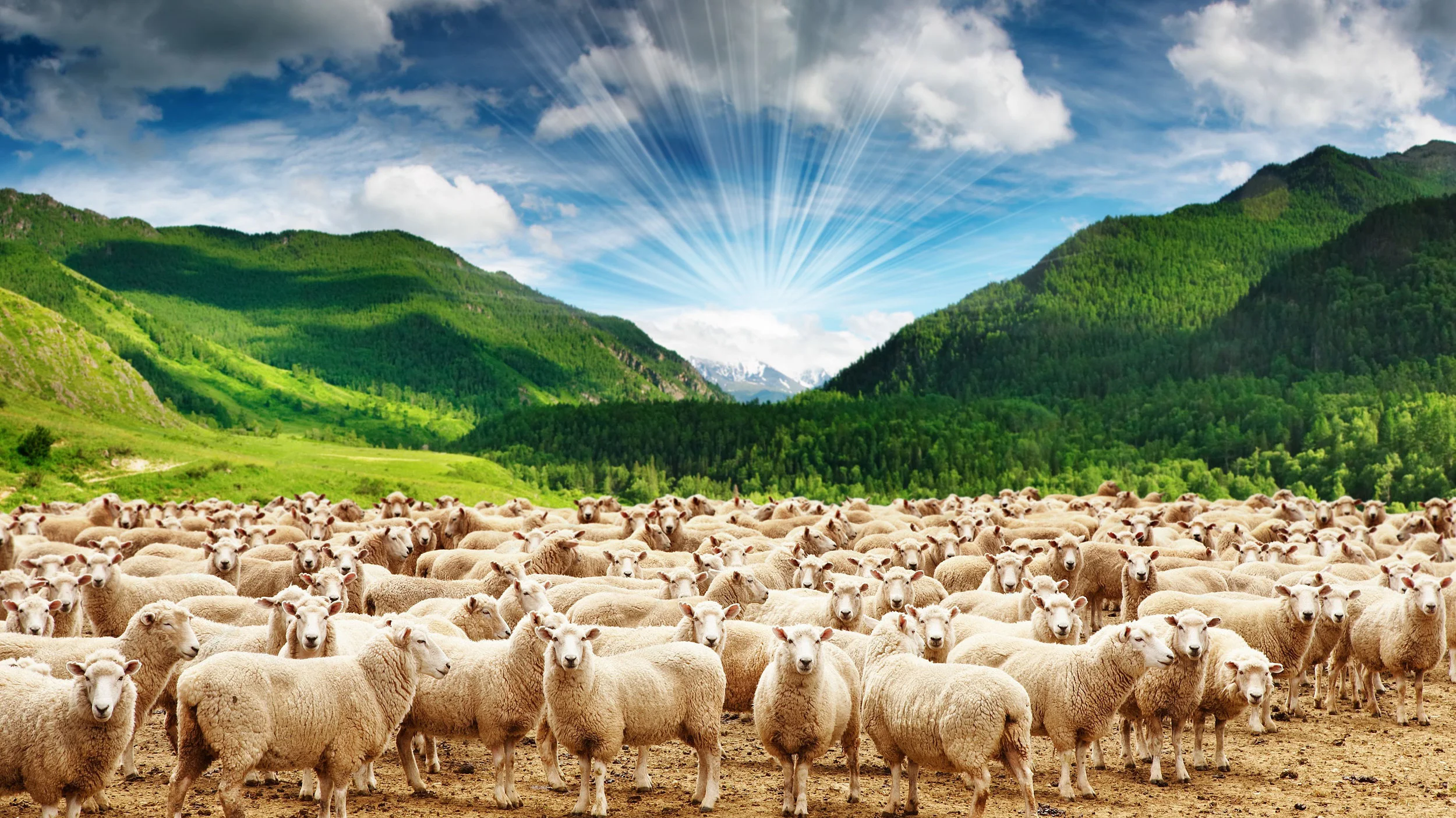 Grace to Overcome our Sin Nature — It's Midnight Ministries