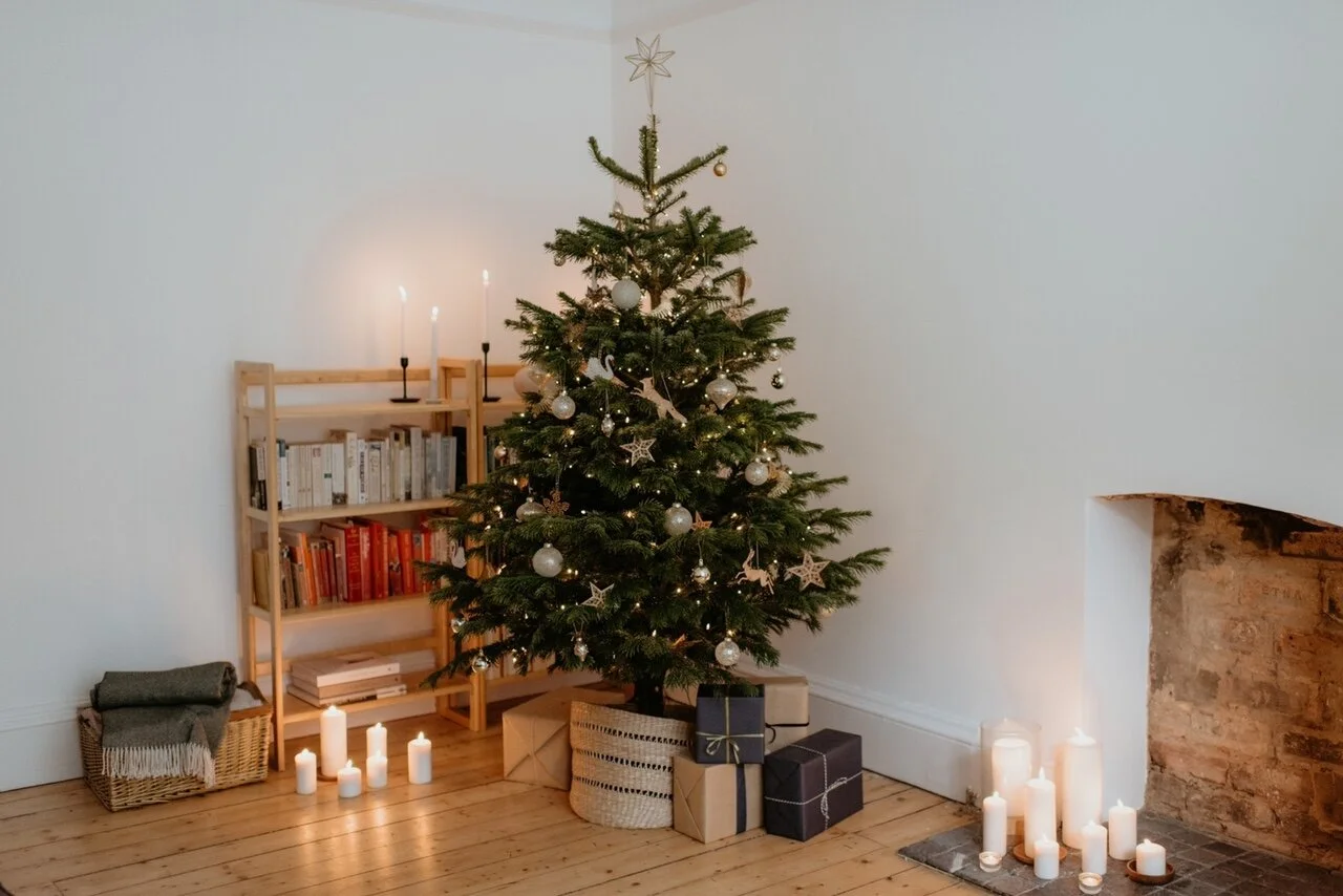 How Bethany's Caring Christmas Trees are helping homeless people in ...