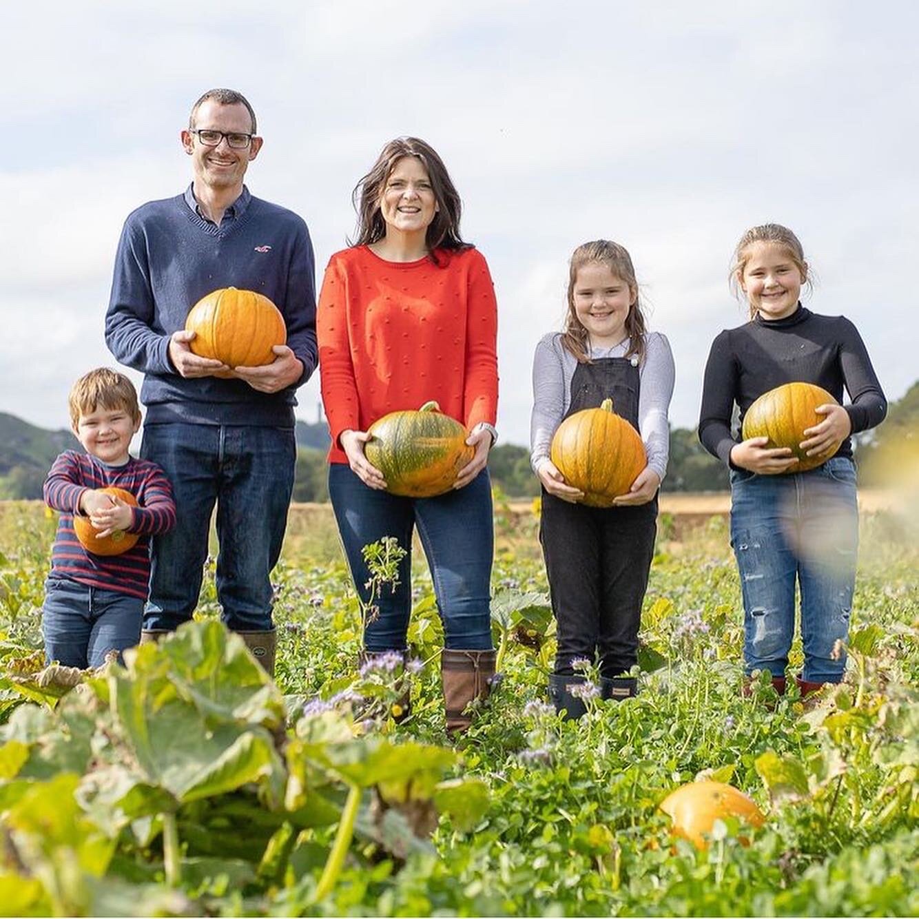 Autumn Season: Pumpkin Pie from Kilduff Farm | Hood Magazine