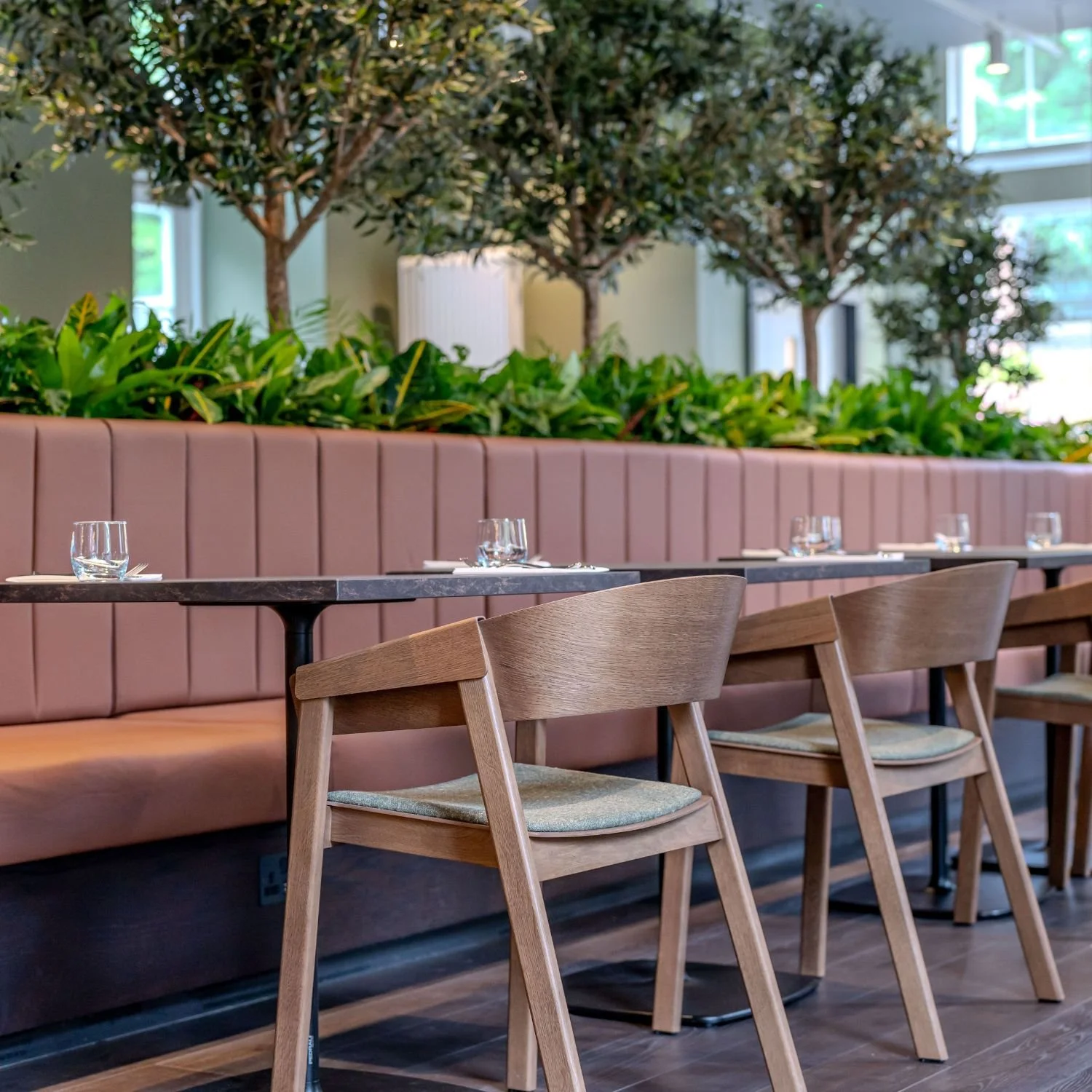 Canopy Kitchen and Courtyard: Edinburgh's Chic New Dining Spot | Hood ...