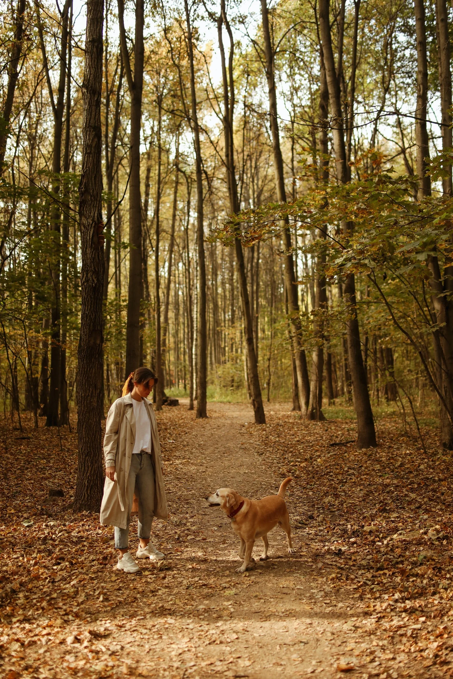 Autumn Well-being Boost | Hood Magazine