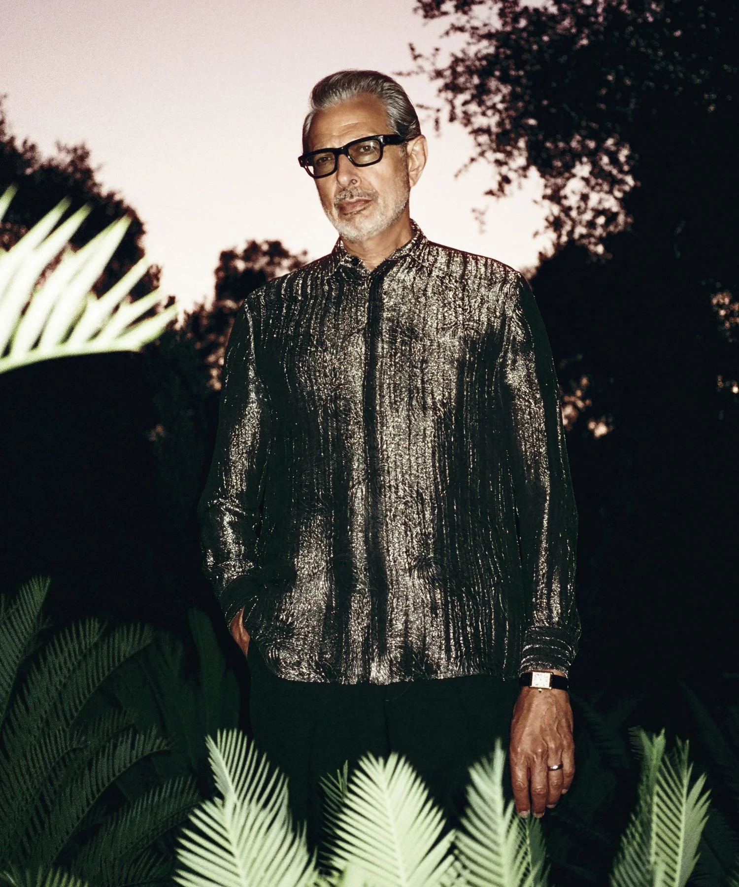 EXCLUSIVE INTERVIEW: Jeff Goldblum on Night Blooms, Wicked, and ...