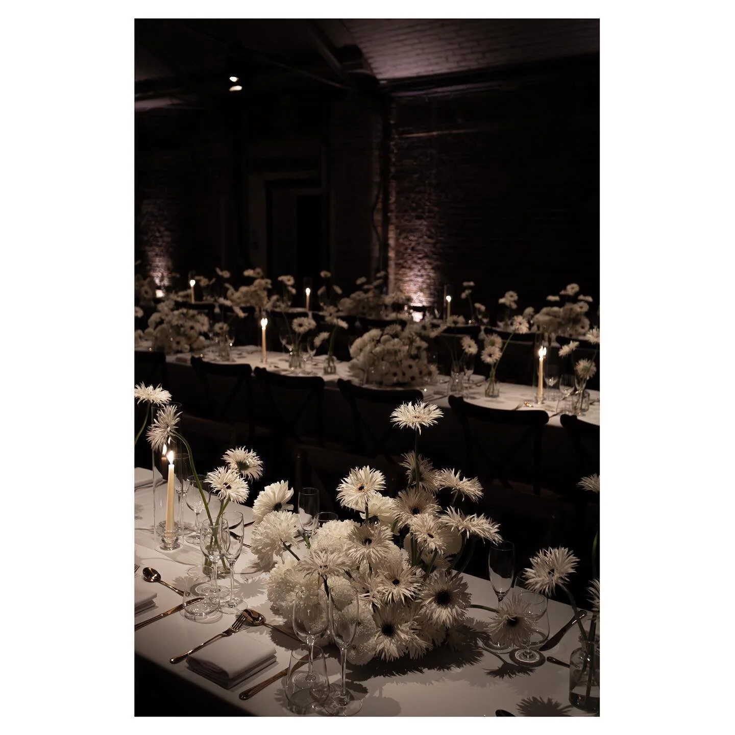 Halcyon Halcyon | Event Design & Production, Wedding Planning and ...