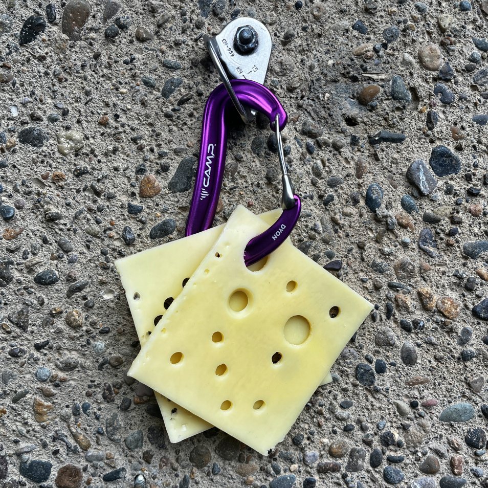 Alpine Tips — Alpinesavvy