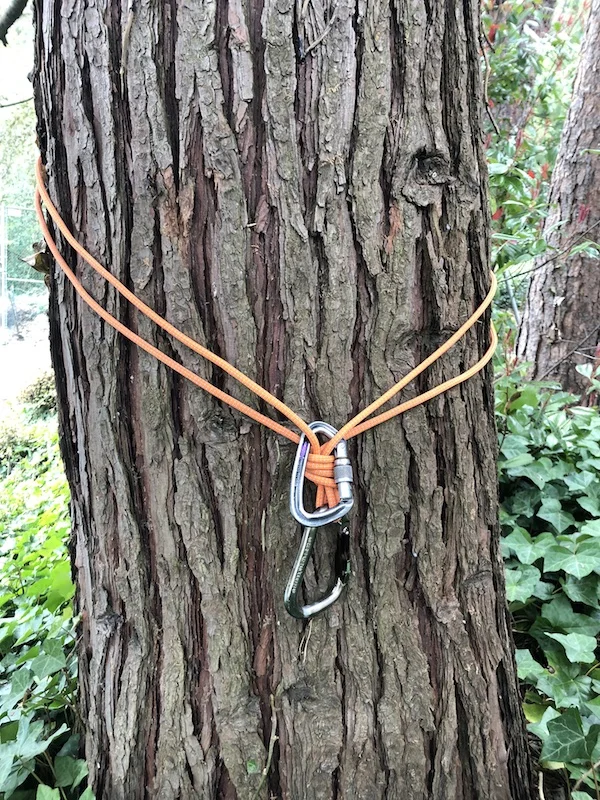 Cordelette on a tree: caution on the shelf — Alpinesavvy