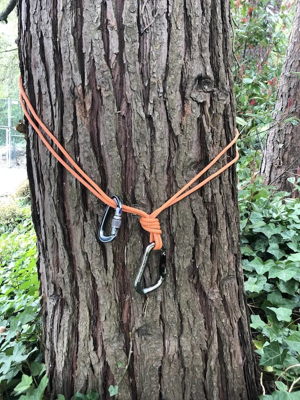 Cordelette on a tree: caution on the shelf — Alpinesavvy