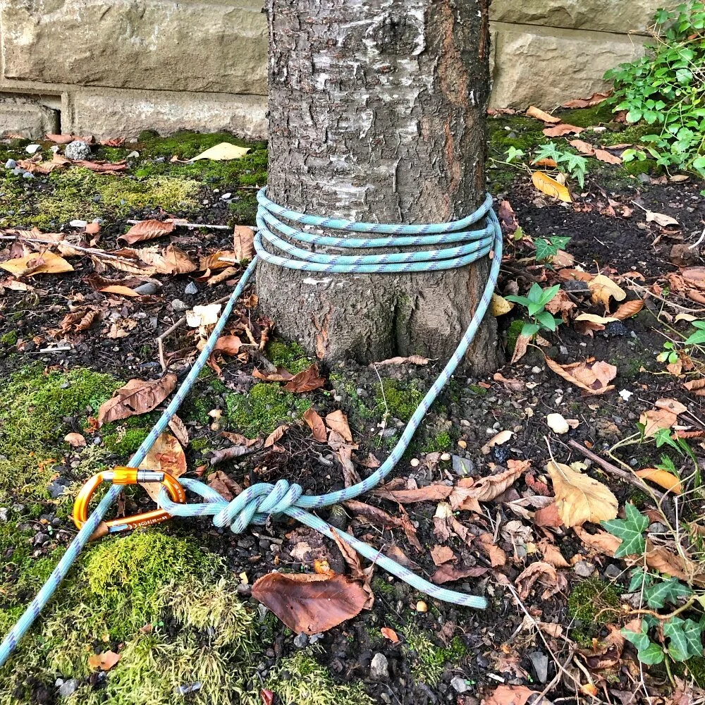 Using A Rope To Make A Tensionless Tree Anchor Alpinesavvy