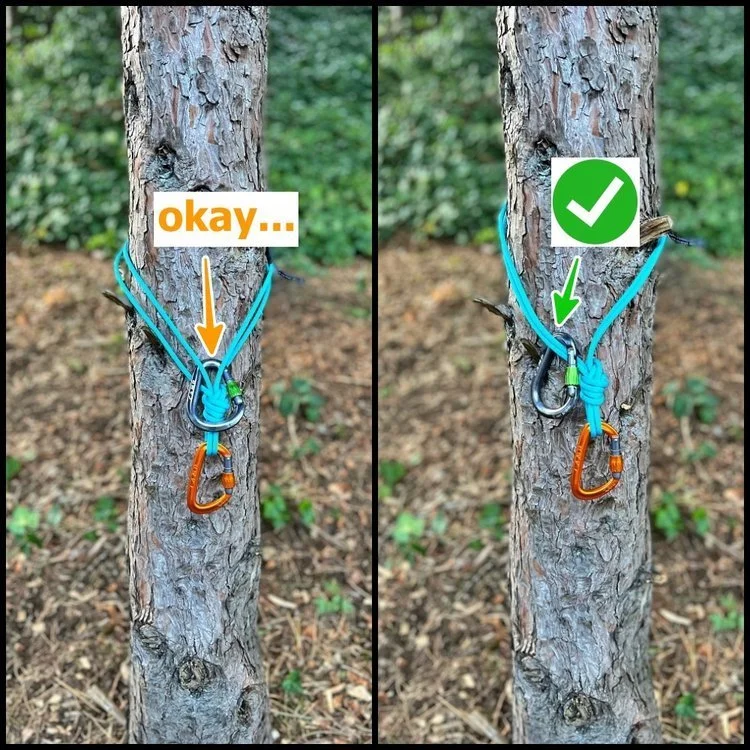 Cordelette on a tree: caution on the shelf — Alpinesavvy