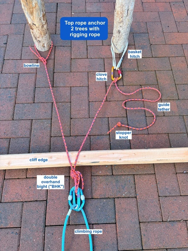 Trees for climbing anchors: Part 3, Top Rope — Alpinesavvy