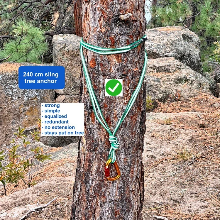 Trees for climbing anchors: Part 4, Multipitch — Alpinesavvy