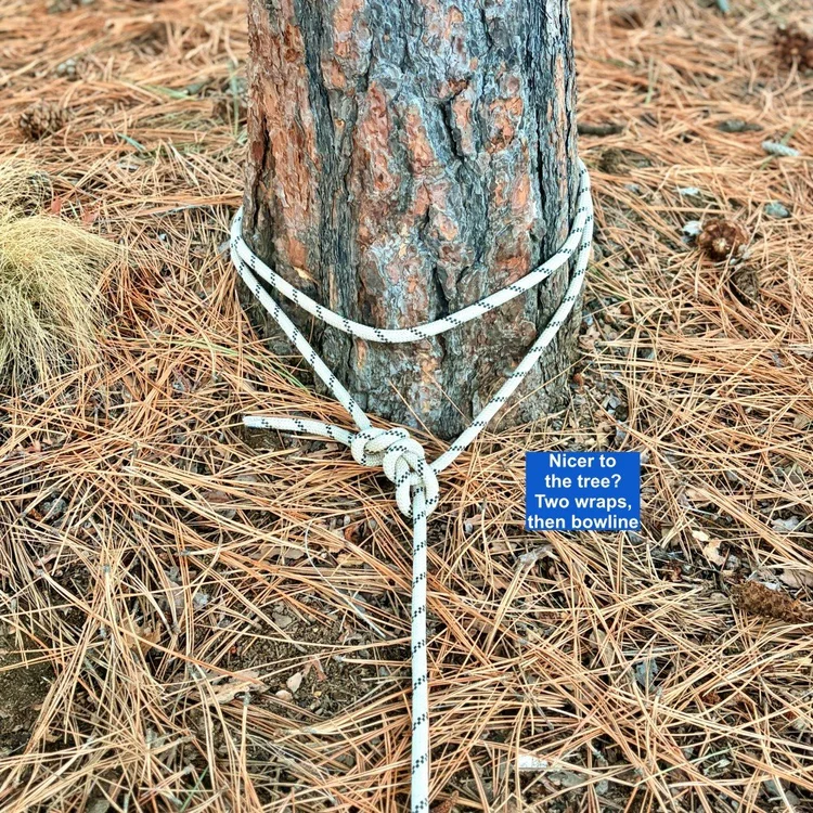 Trees for climbing anchors: Part 3, Top Rope — Alpinesavvy